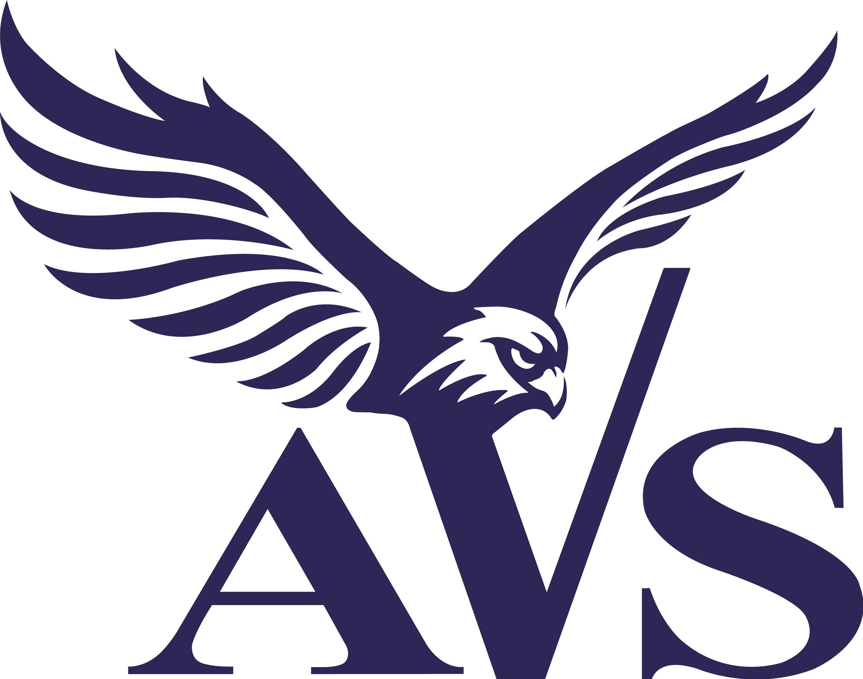 Avsselect Security for Corporate Sector, Industries, Organizations